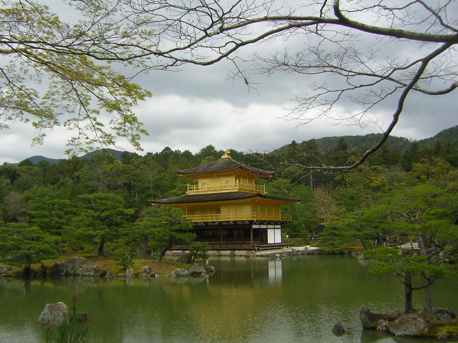 Dai Nippon Butoku Kai - KONTAKT